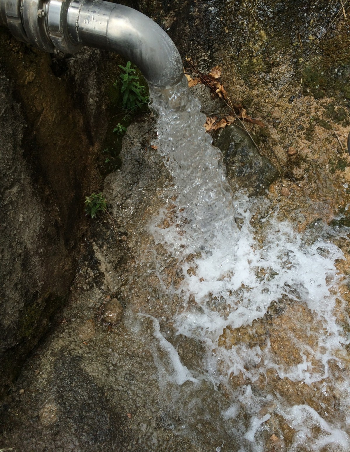 The history of Pineo water, its origins, source and environment