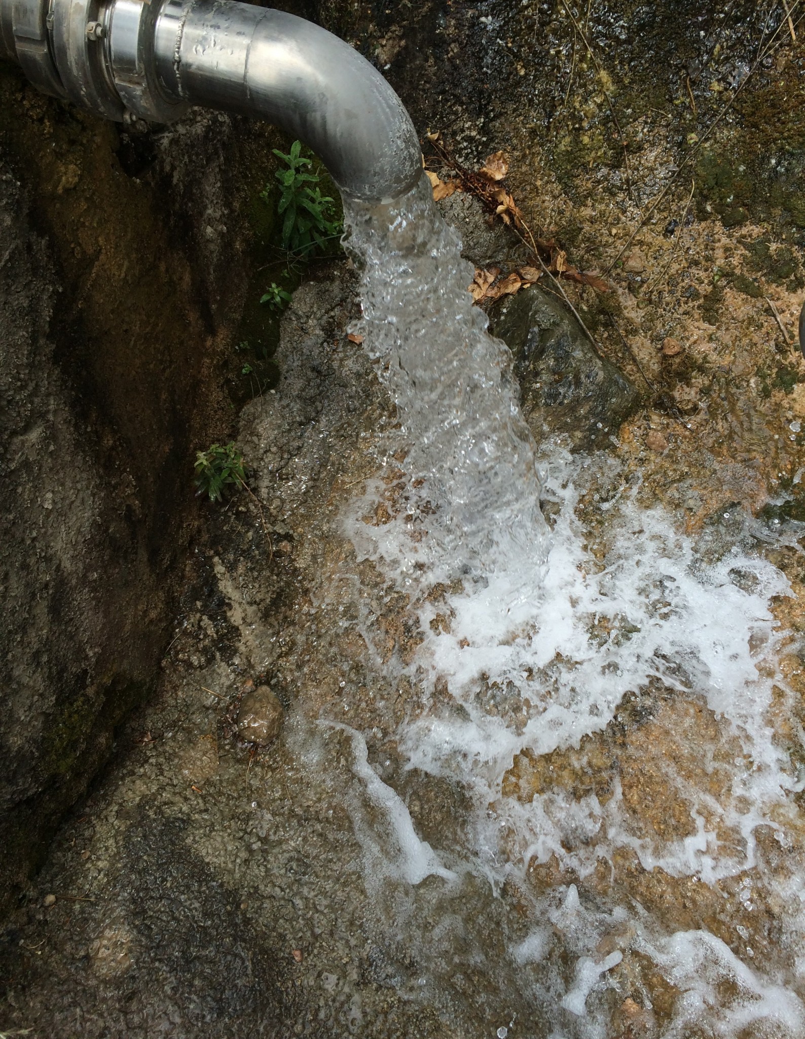 The history of Pineo water, its origins, source and environment