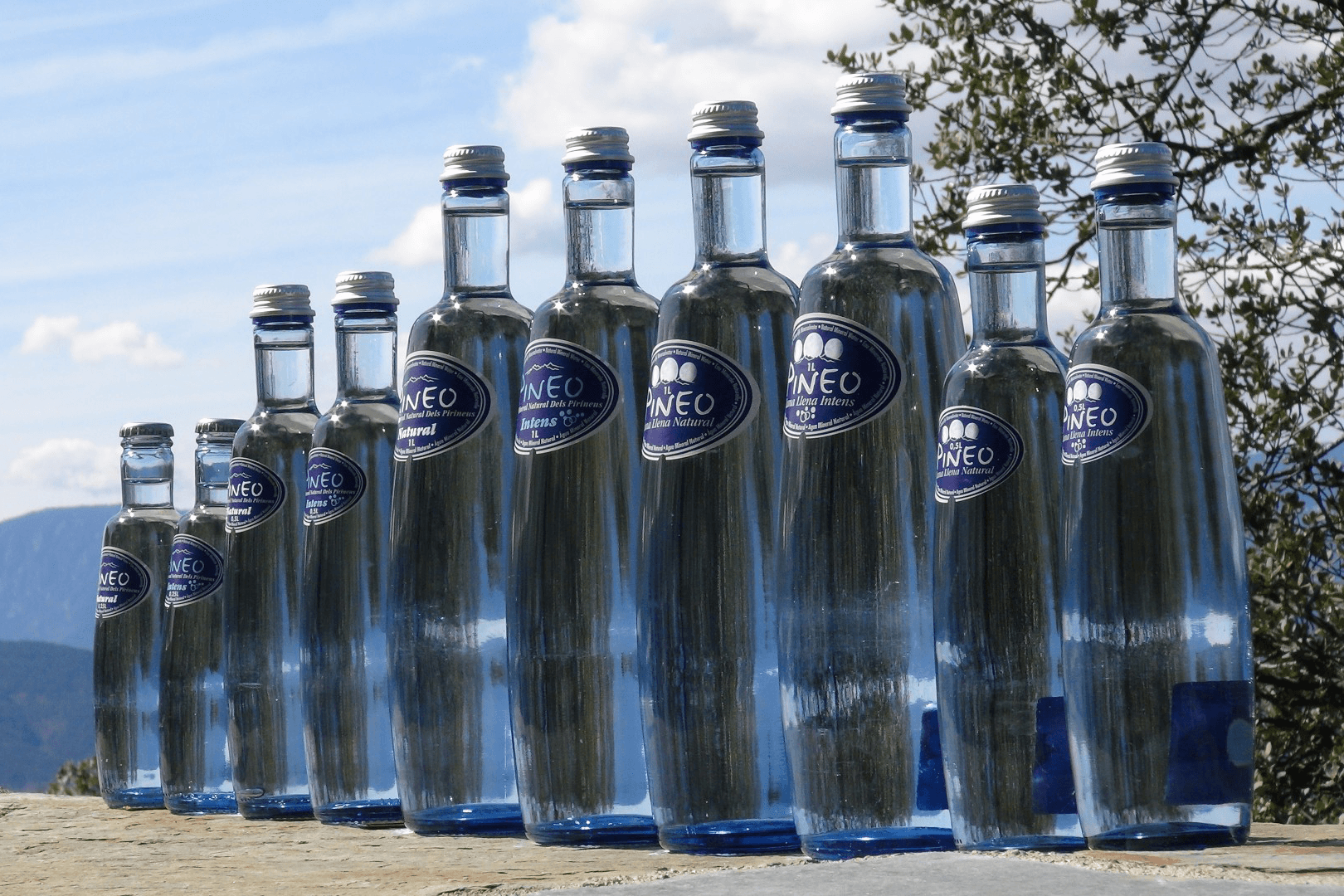 Op zoek naar beeldmateriaal van Pineo?